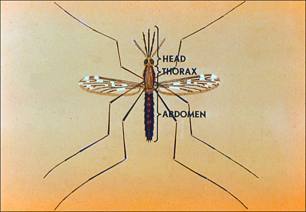 Slide 7