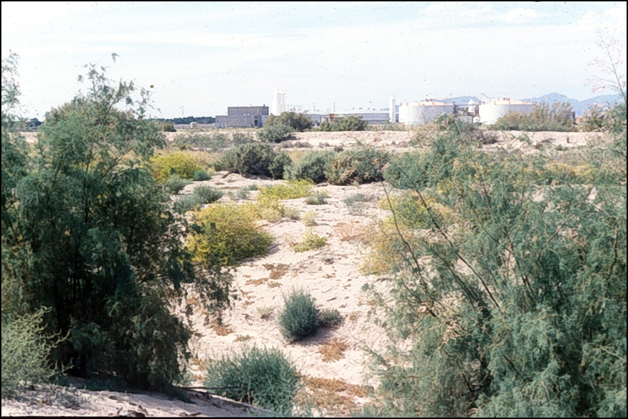 Rio Bosque Repeat Photography