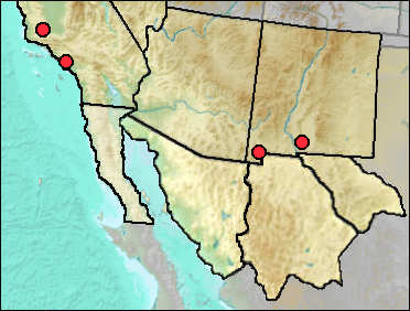 Anabernicula