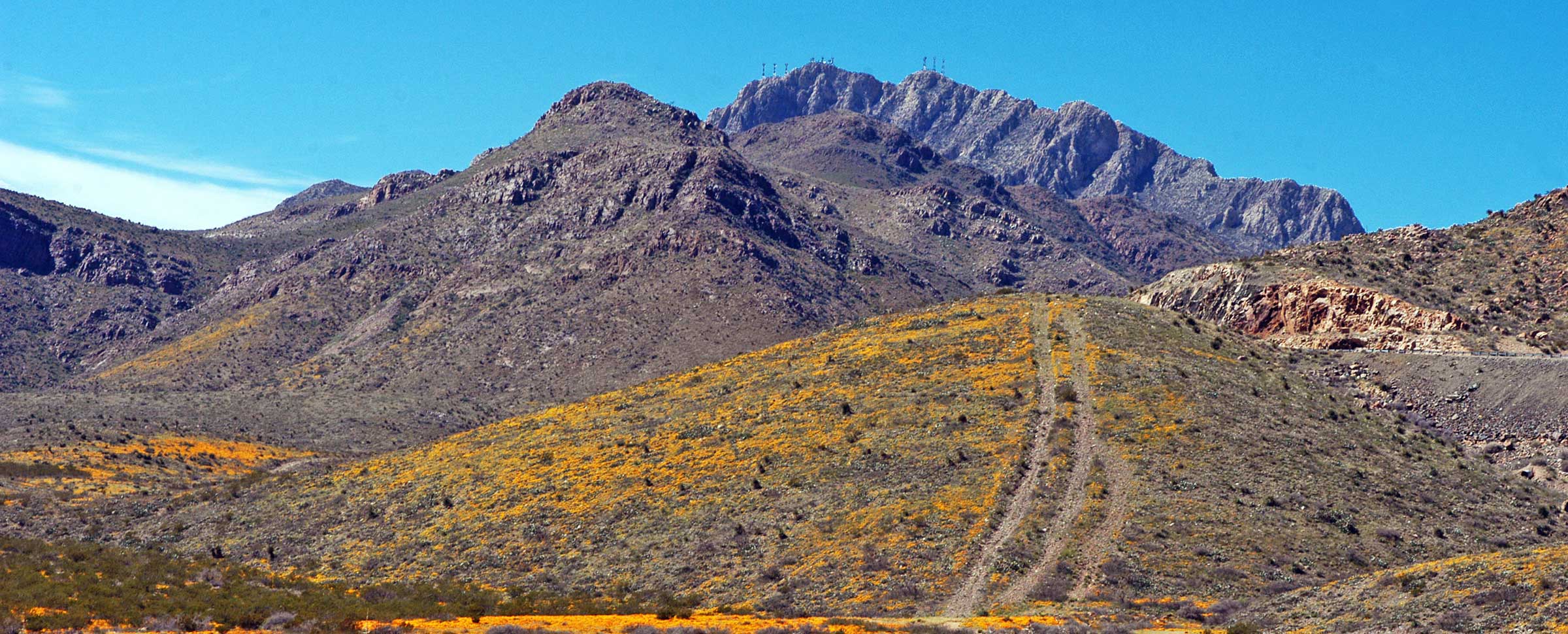 The University of Texas at El Paso