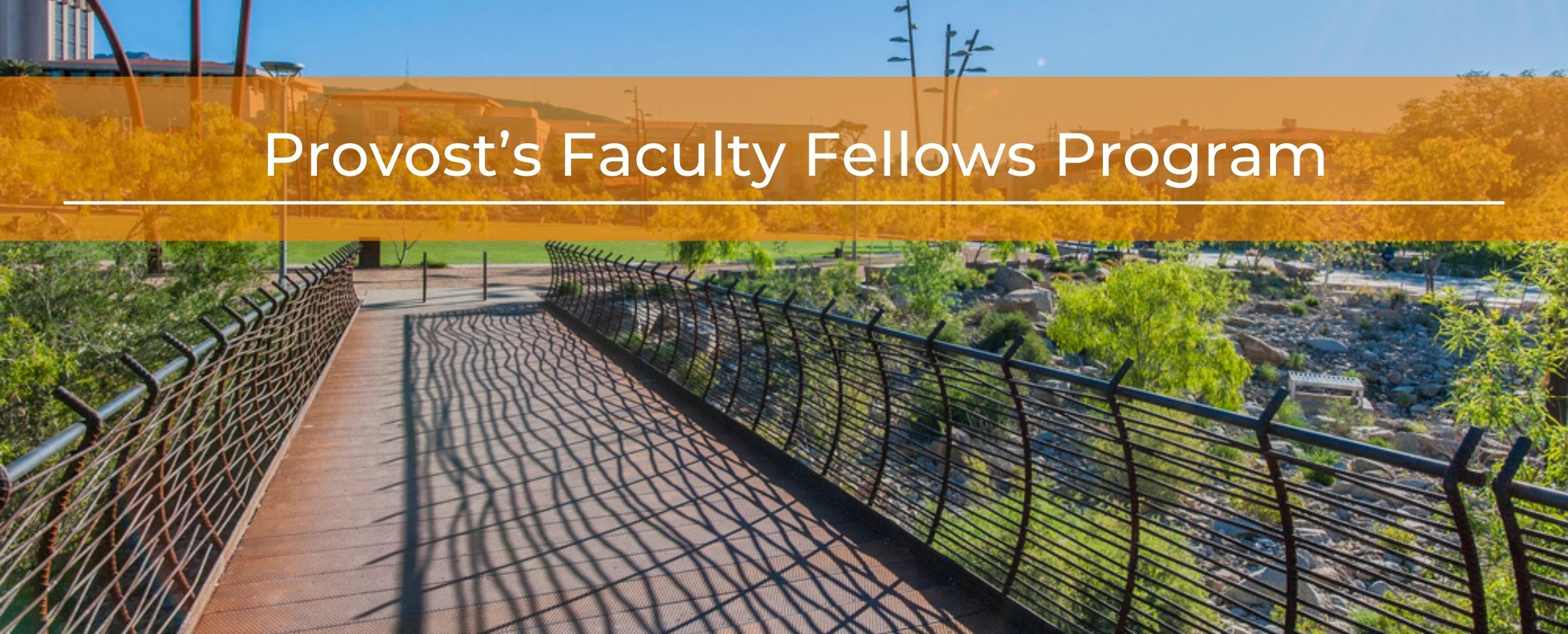 Welcome to the Office of the Provost and Division of Academic Affairs