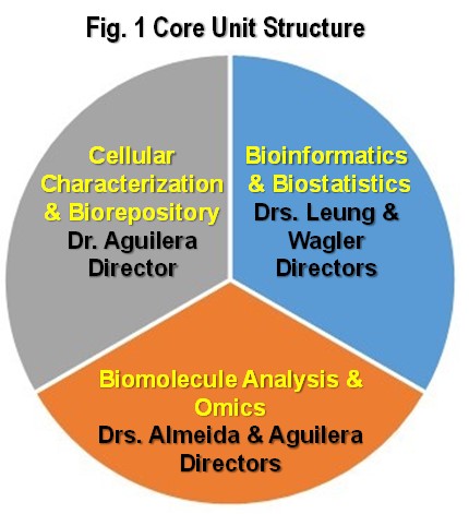 Research Infrastructure Core