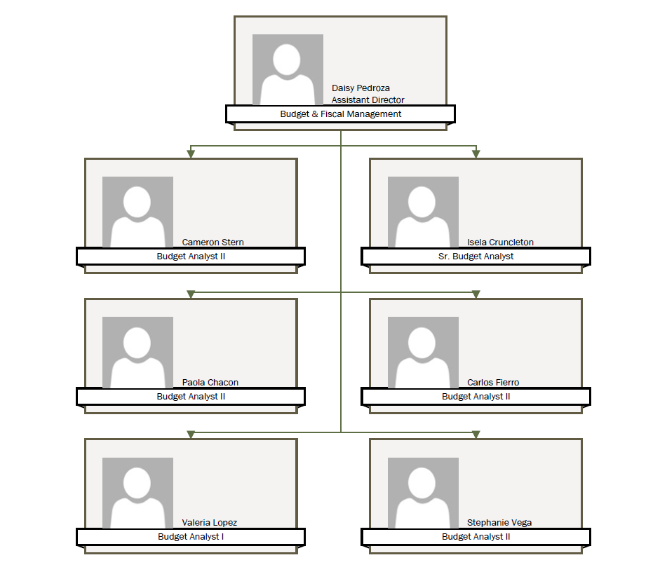 Organizational Chart